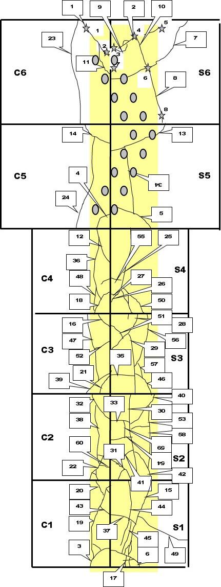 CC2 Test Strip NDT Plan & Data